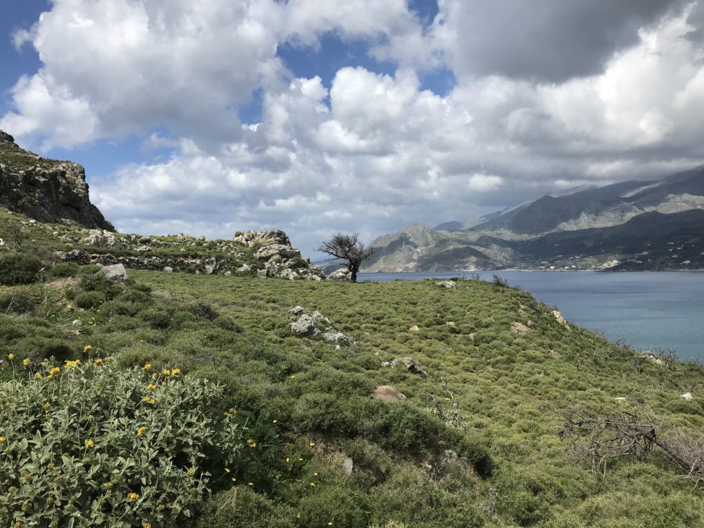 Kreta - Einfach mal die Seele baumeln lassen - 4 gehen raus Kreta - Einfach mal die Seele baumeln lassen - 4 gehen raus